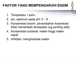 2. ENZIM_DAN_KOENZIM_pptx.pptx