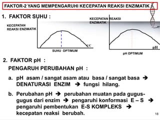 2. ENZIM_DAN_KOENZIM_pptx.pptx