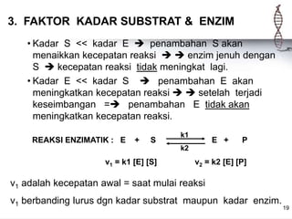 2. ENZIM_DAN_KOENZIM_pptx.pptx