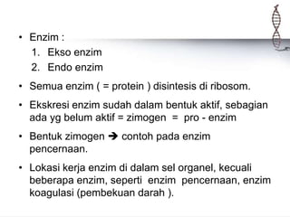 2. ENZIM_DAN_KOENZIM_pptx.pptx
