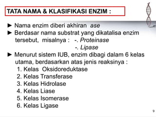 2. ENZIM_DAN_KOENZIM_pptx.pptx