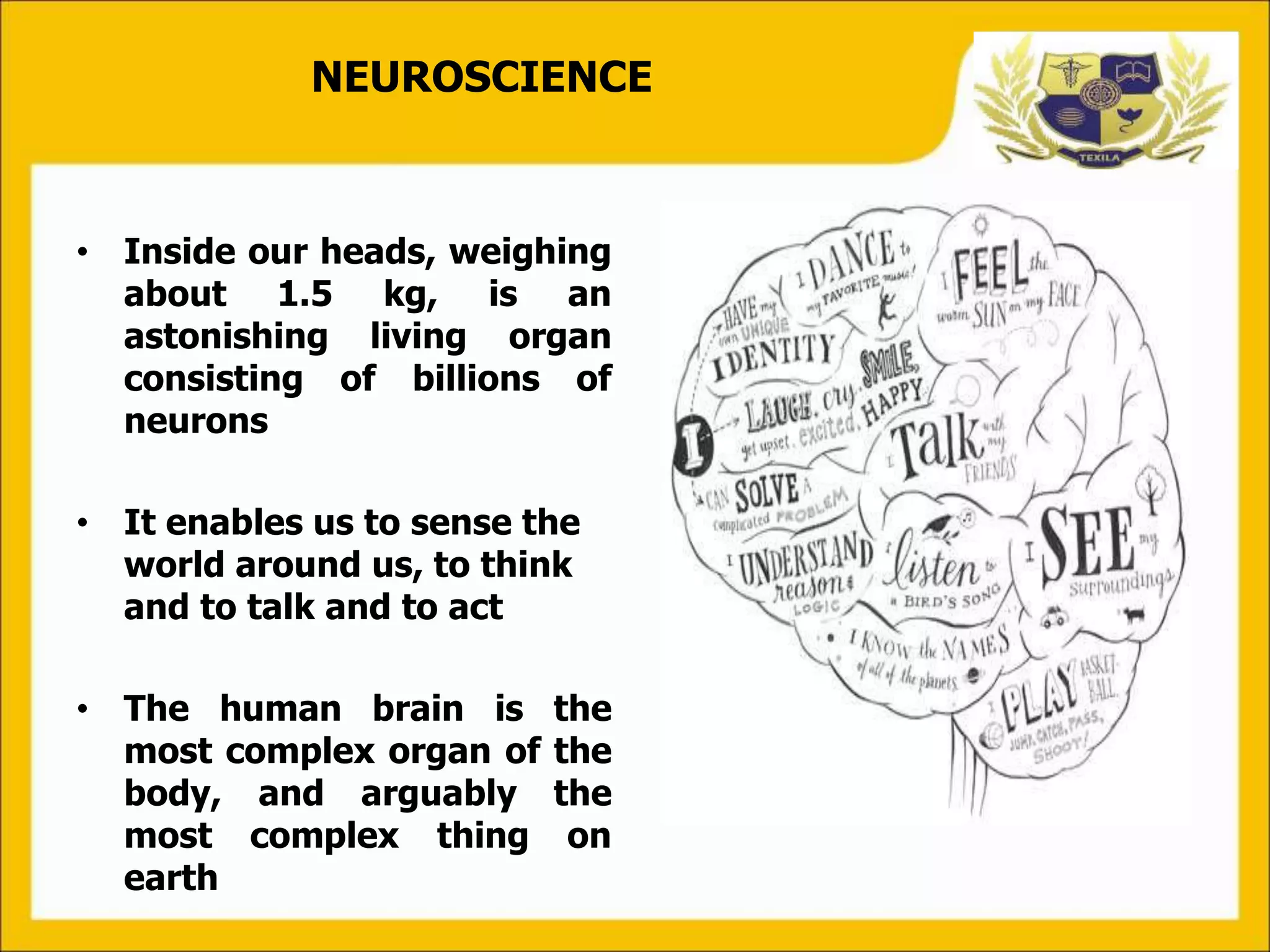 2. Neuron Neuroglia (1).ppt