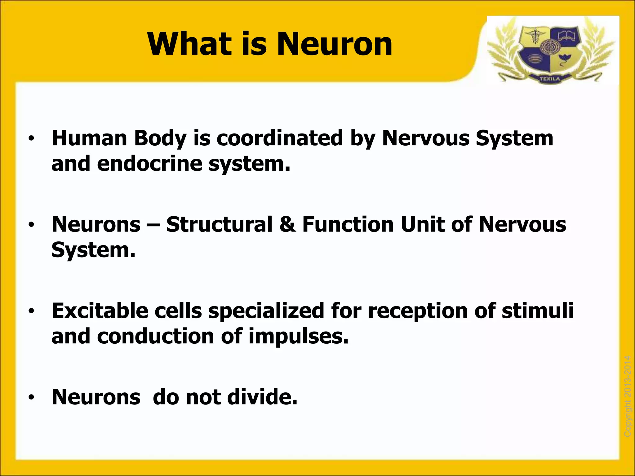 2. Neuron Neuroglia (1).ppt