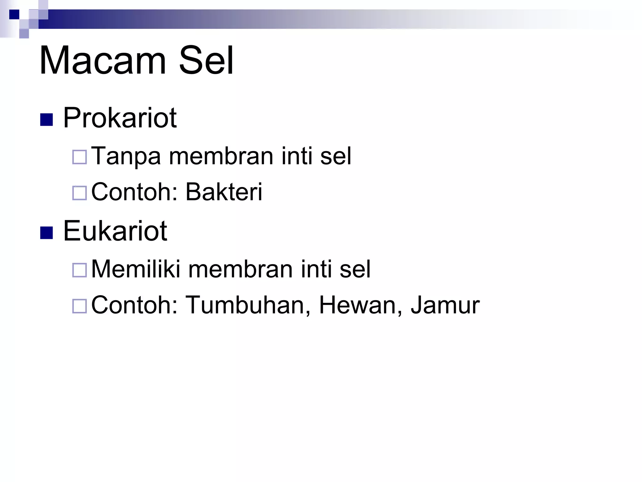STRUKTUR DAN FUNGSI SEL-ppt.ppt