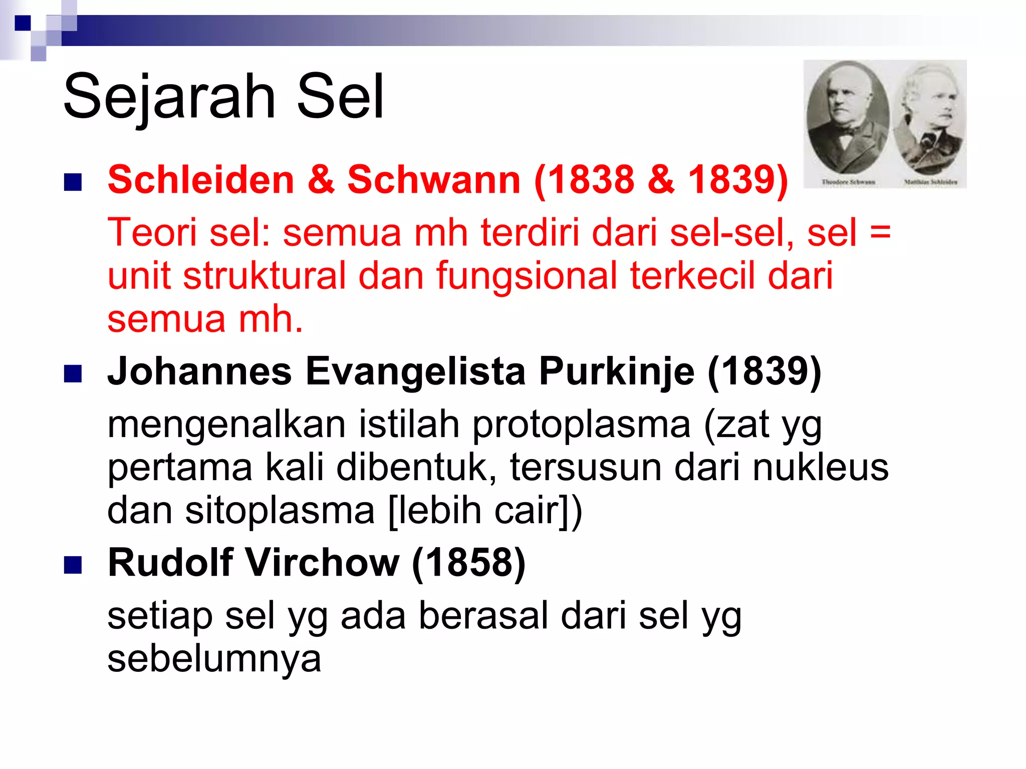 STRUKTUR DAN FUNGSI SEL-ppt.ppt