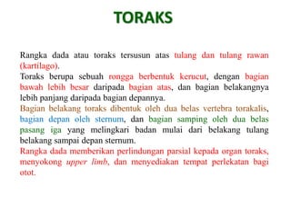 2. Sistem Rangka.pdf