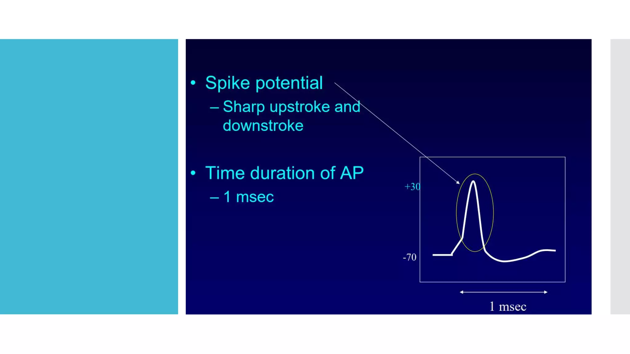 2. BIOPHYSICS – Membrane Potentials and Action Potential.pptx