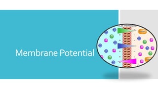 2. BIOPHYSICS – Membrane Potentials and Action Potential.pptx