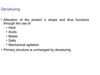protein.pptx-Biochemistry | PPTX | Chemistry | Science