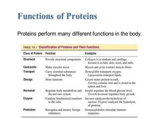 protein.pptx-Biochemistry | PPTX | Chemistry | Science