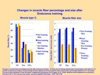 2. Muscle fibers.pptx