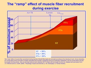 2. Muscle fibers.pptx