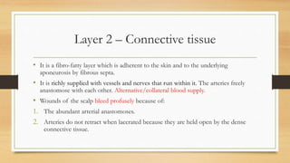 2. Clinical anatomy scalp.ppt