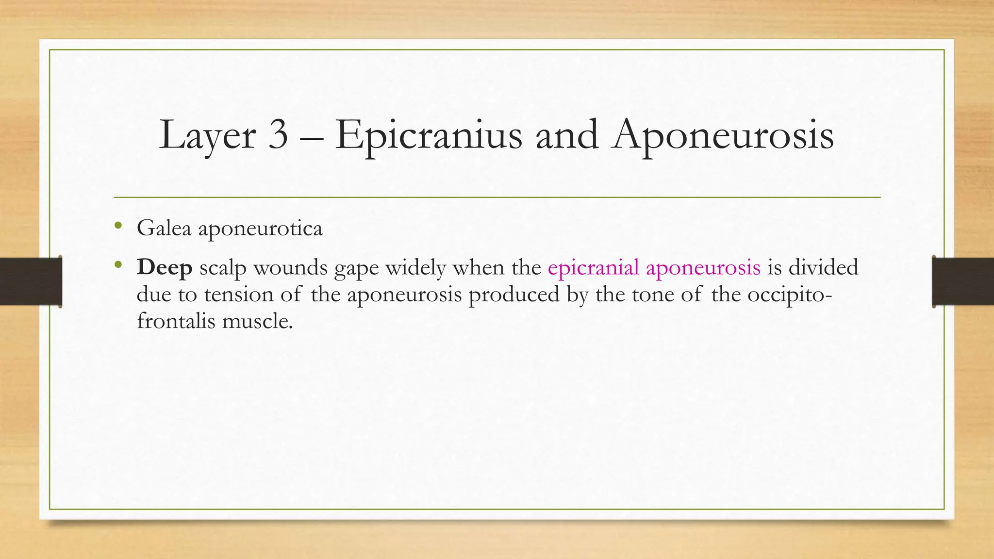 2. Clinical anatomy scalp.ppt