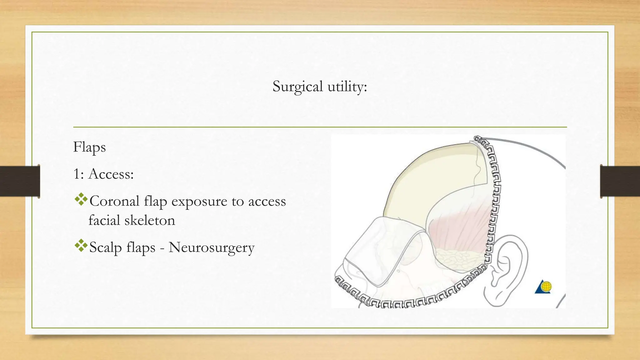 2. Clinical anatomy scalp.ppt