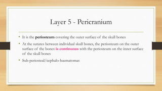 2. Clinical anatomy scalp.ppt