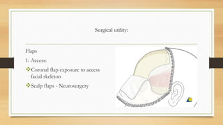 2. Clinical anatomy scalp.ppt