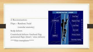 2. Clinical anatomy scalp.ppt