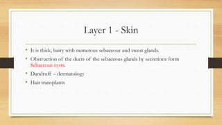 2. Clinical anatomy scalp.ppt