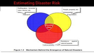 Disaster-Risk | PPTX | Geography | Science