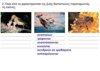 Χαρακτηριστικά της ζωής | PDF