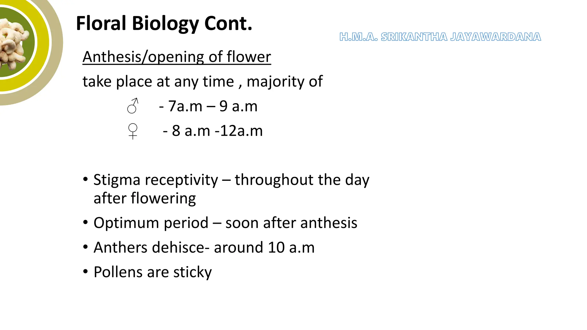 Botany & physiology of cashew plant | PPTX