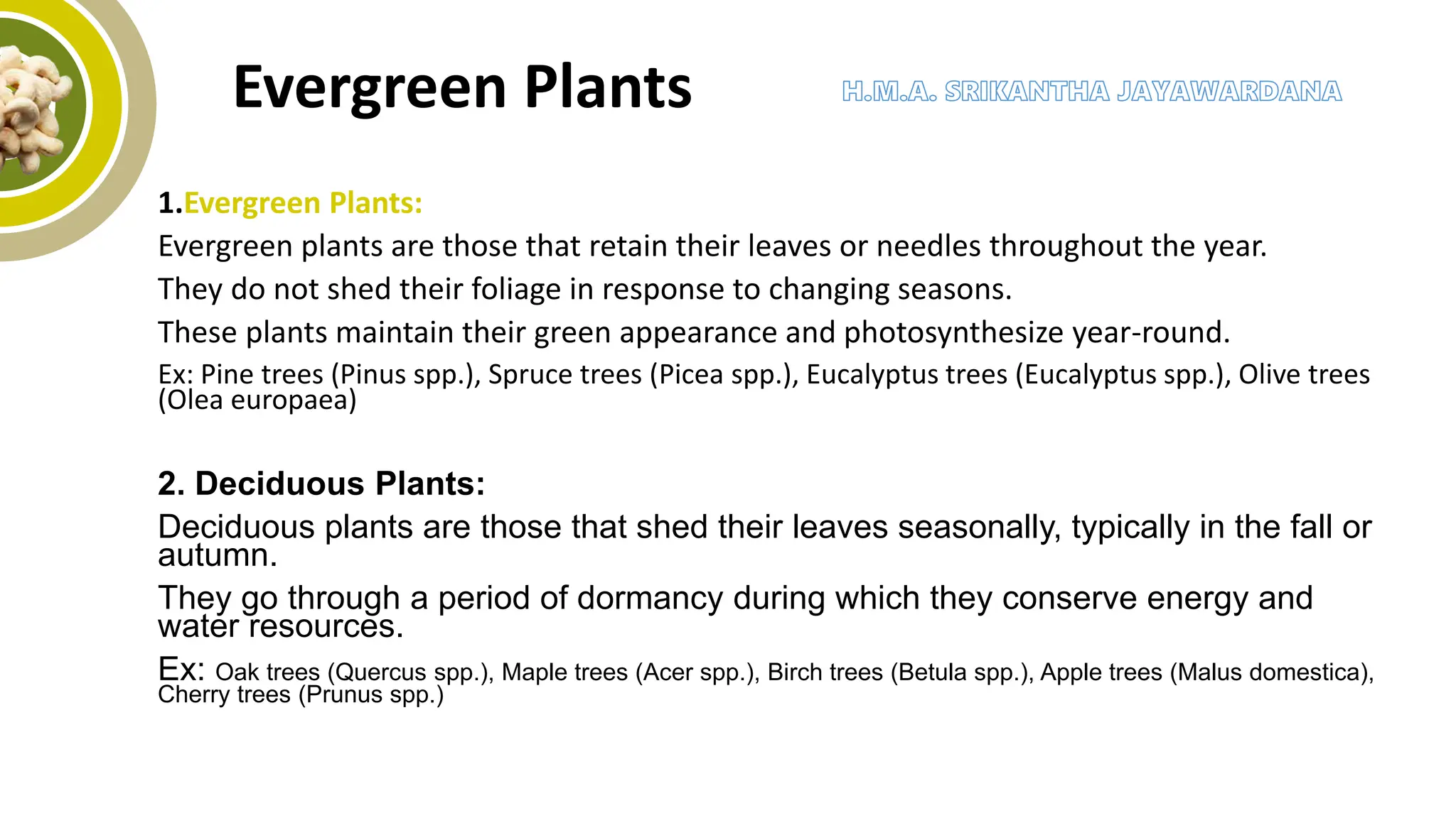 Botany & physiology of cashew plant | PPTX