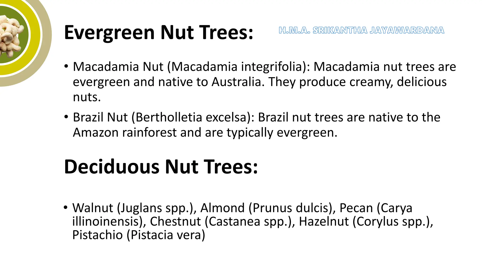 Botany & physiology of cashew plant | PPTX