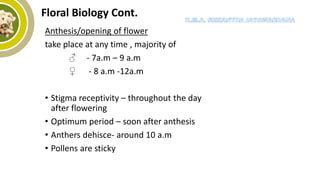 Botany & physiology of cashew plant | PPTX