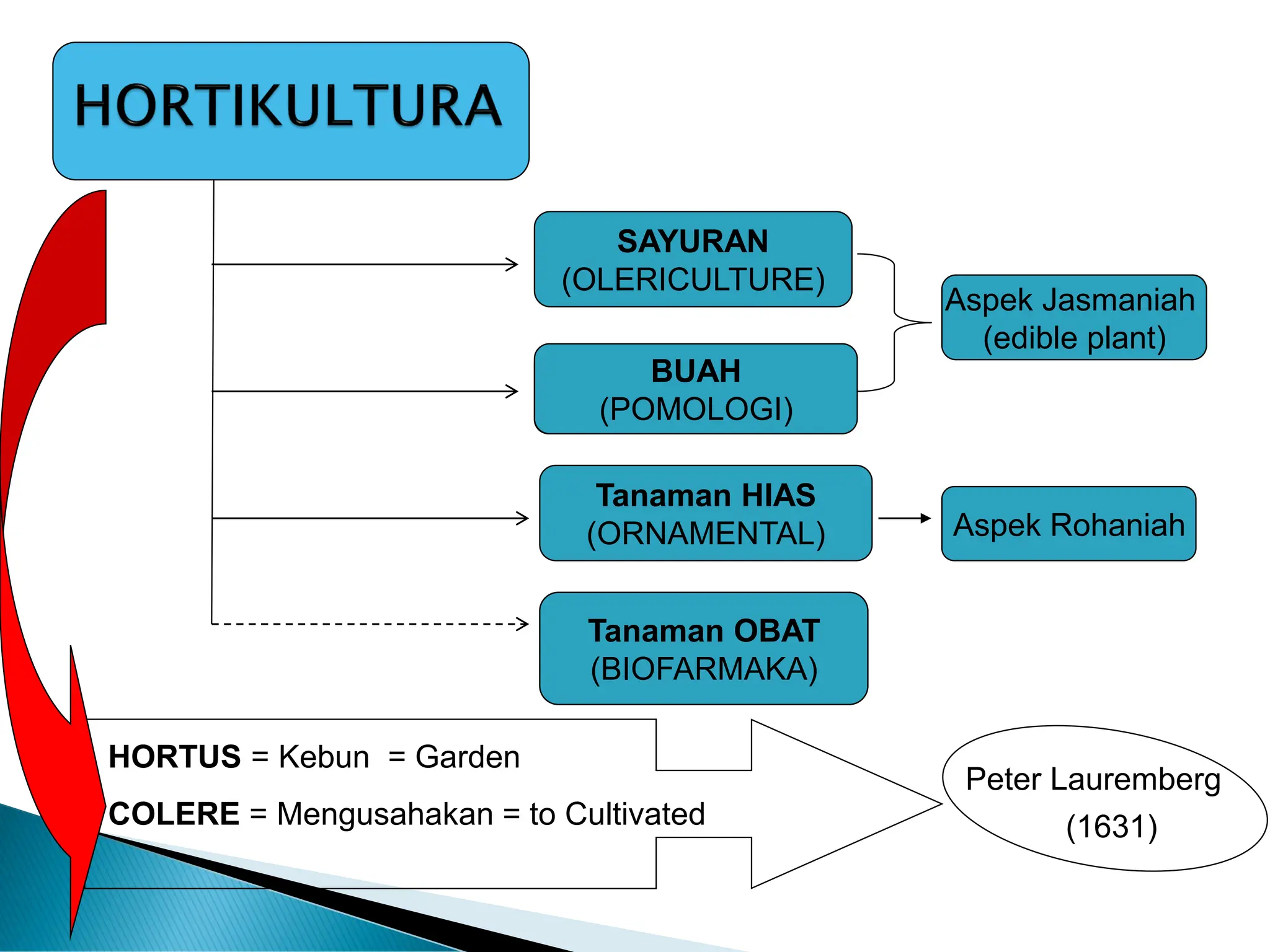 2. Pengertian dan lingkup Hortikultura.pdf