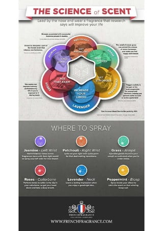 Perfume Application Precision: A Pulse Point Guide | PDF