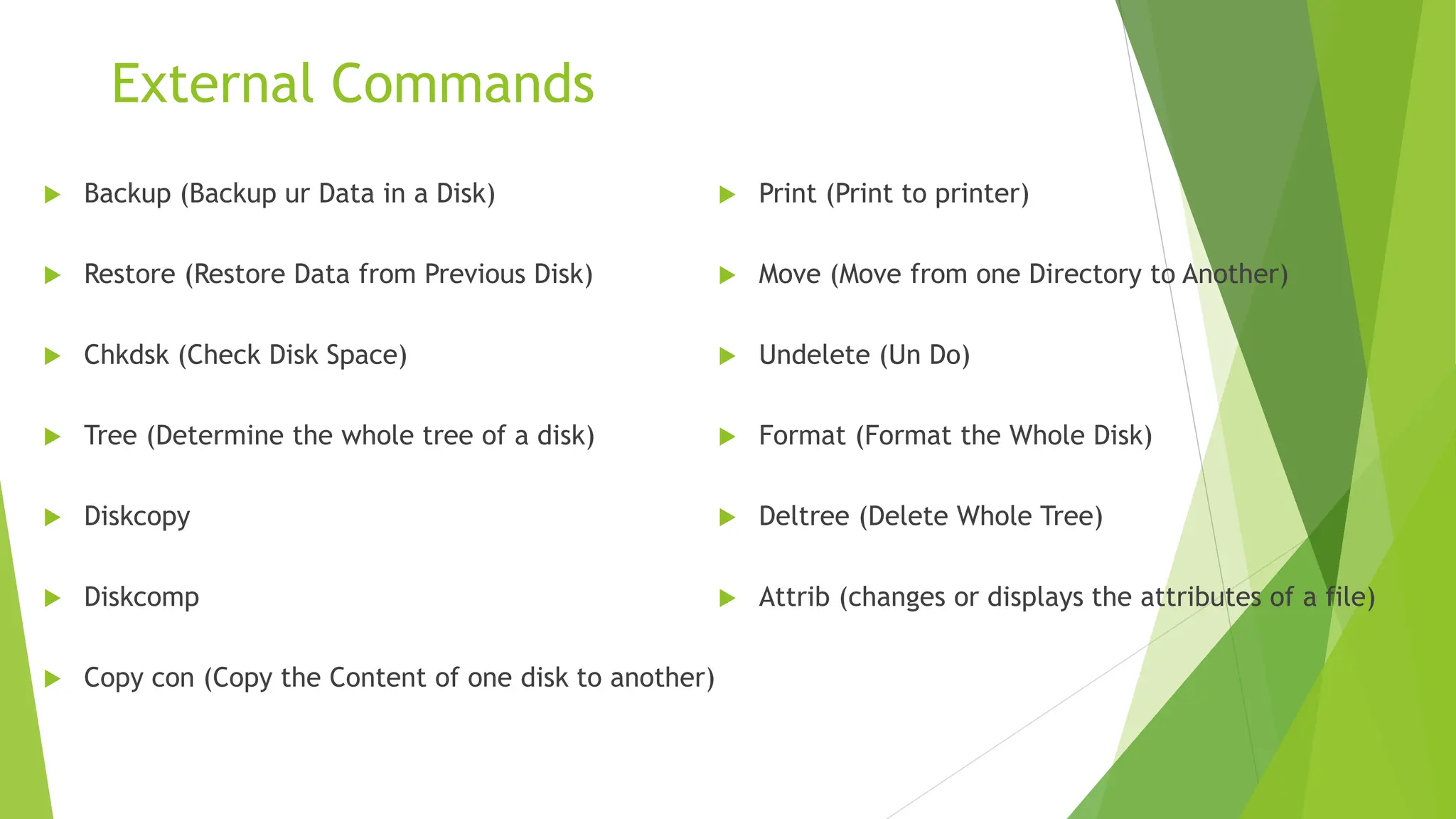 Disk Operating System.pptx