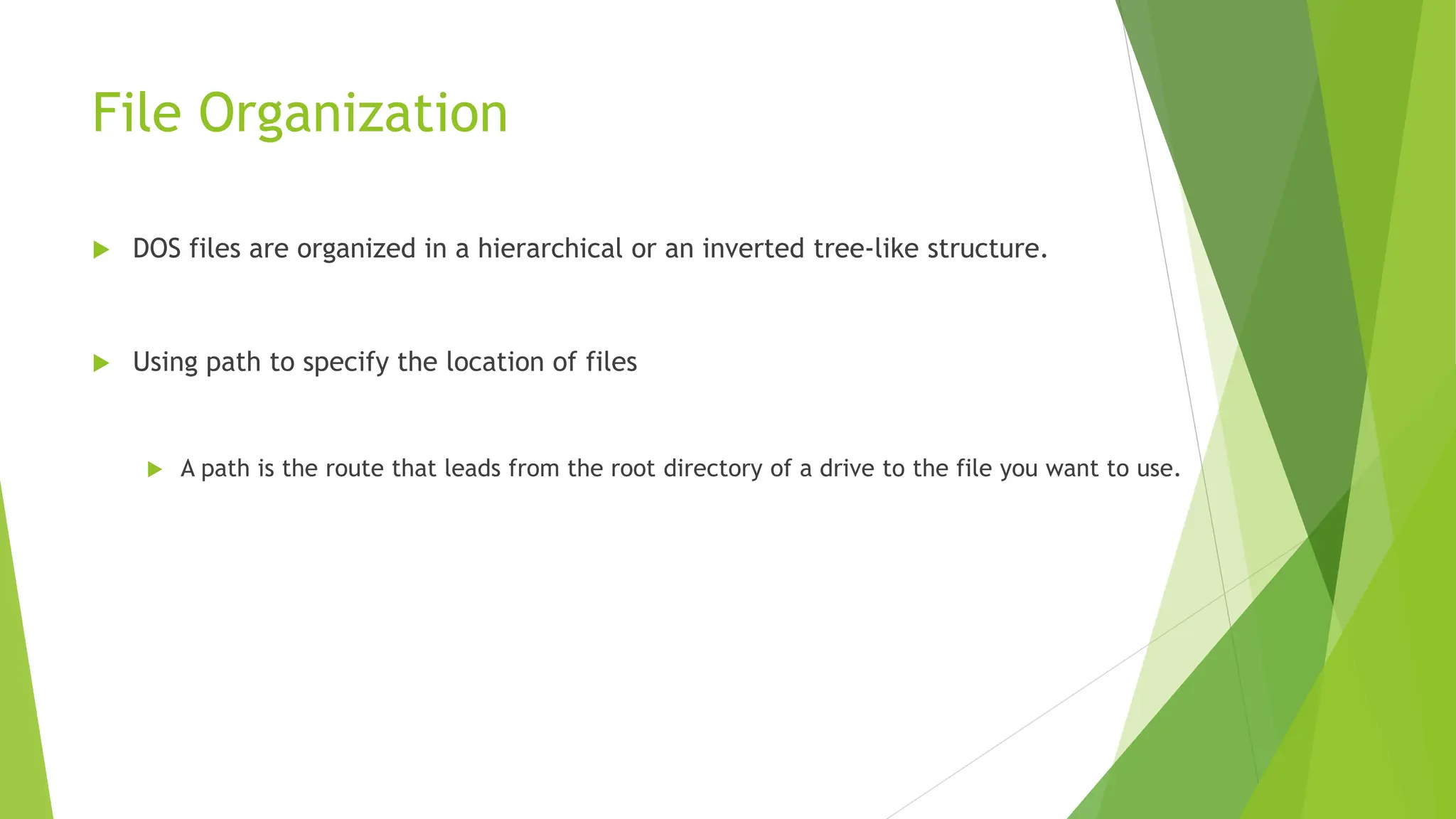 Disk Operating System.pptx
