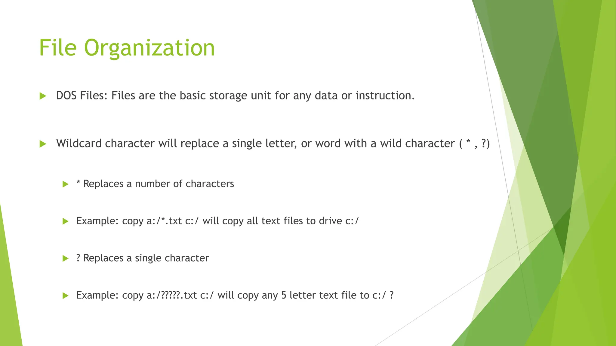 Disk Operating System.pptx