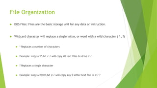 Disk Operating System.pptx