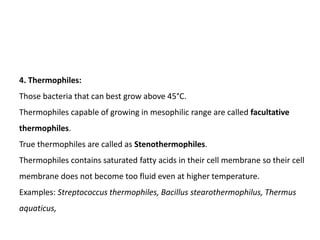 Bacteria_Classification.pptx | Free Download