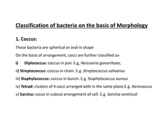 Bacteria_Classification.pptx | Free Download