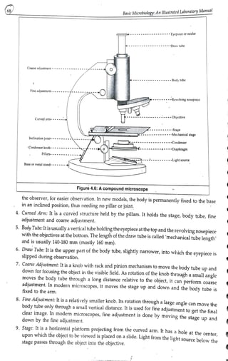 2. Types and Bright field microscopy.pdf
