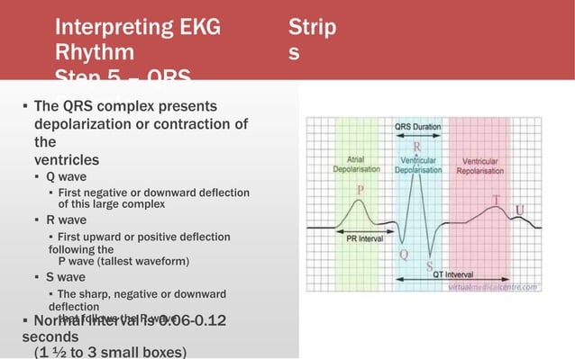 Basic of ECG Referesher Course | PPT
