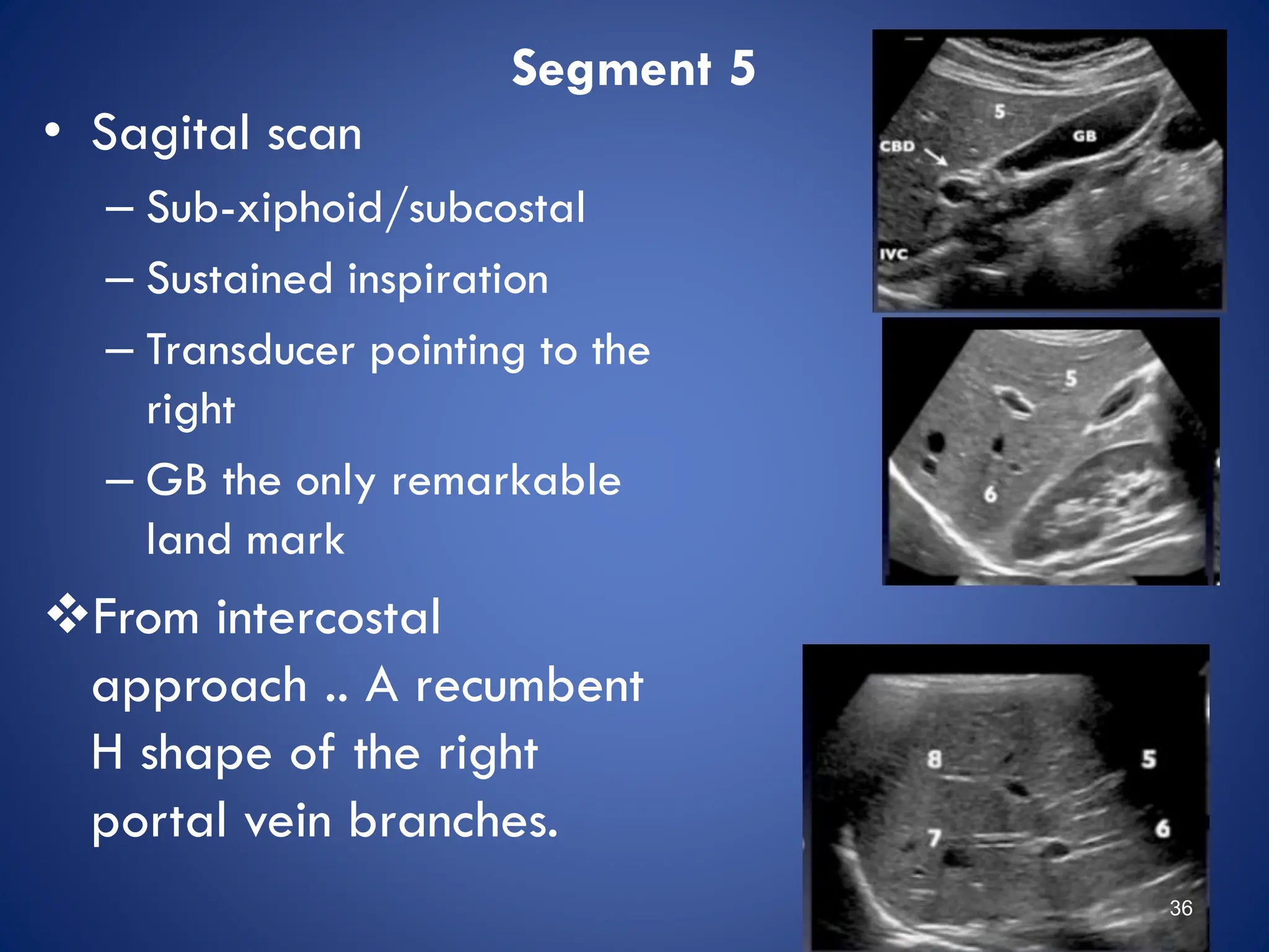 2.Segemental Anatomy of the liver.pdf | Digestive Disorders | Diseases ...
