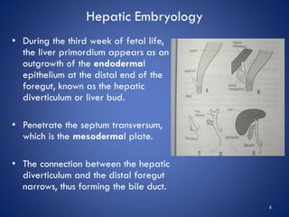 2.Segemental Anatomy of the liver.pdf