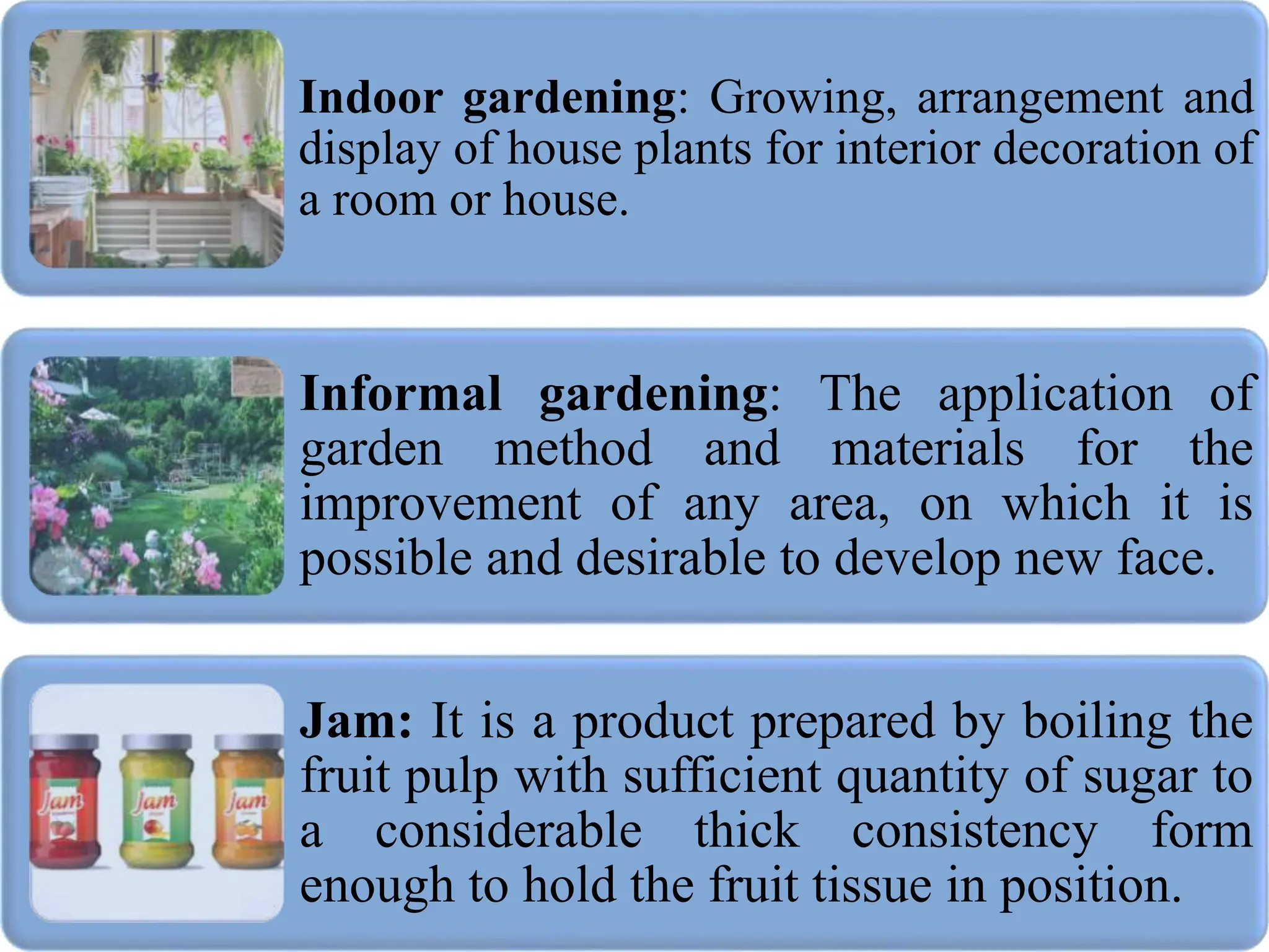 Definition and branches of Horticulture.pptx