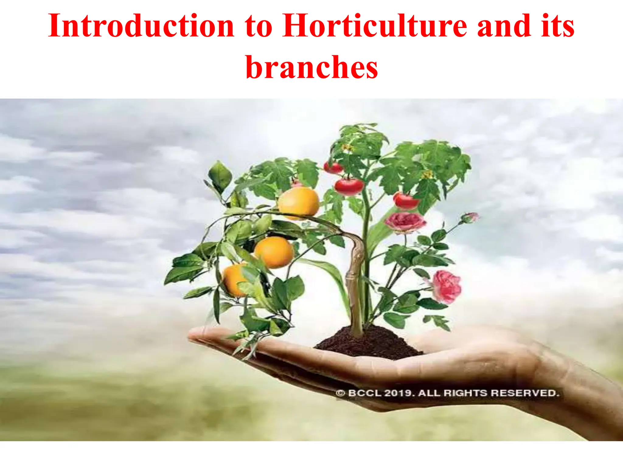 Definition and branches of Horticulture.pptx