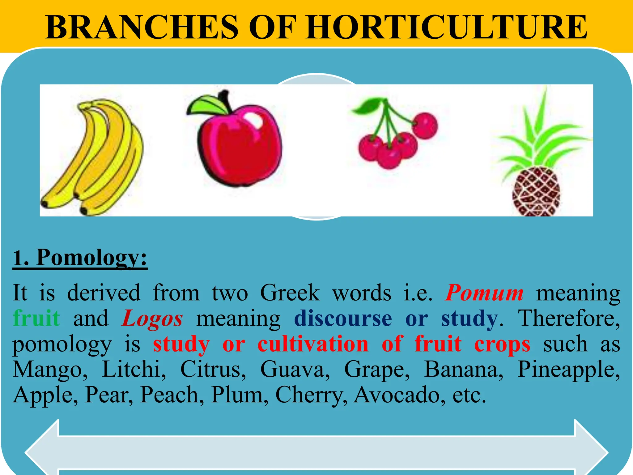 Definition and branches of Horticulture.pptx