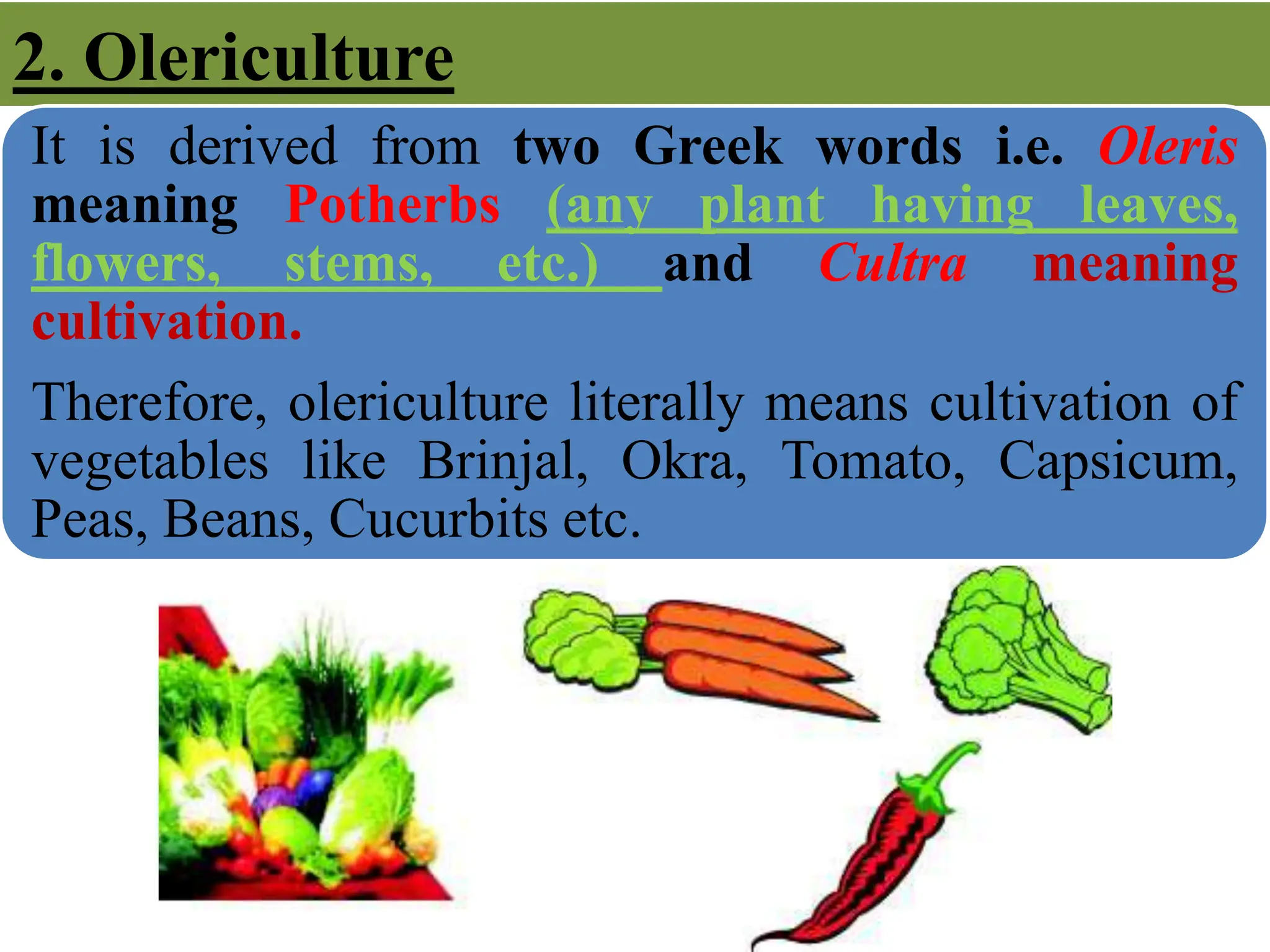 Definition and branches of Horticulture.pptx