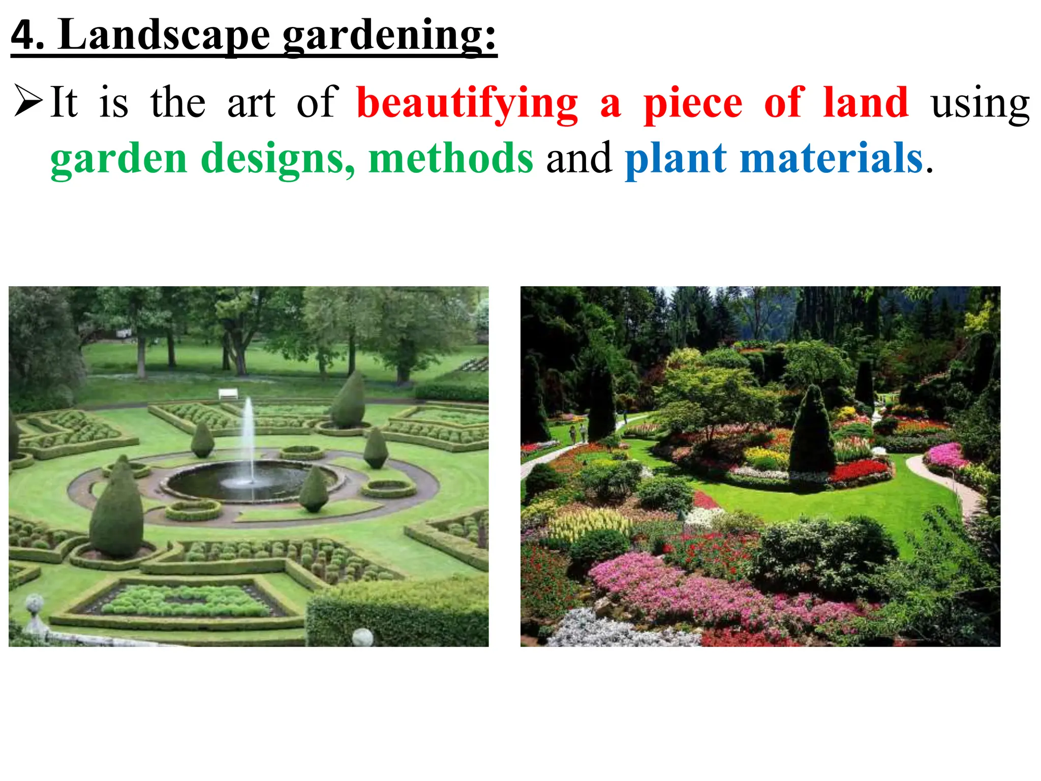 Definition and branches of Horticulture.pptx