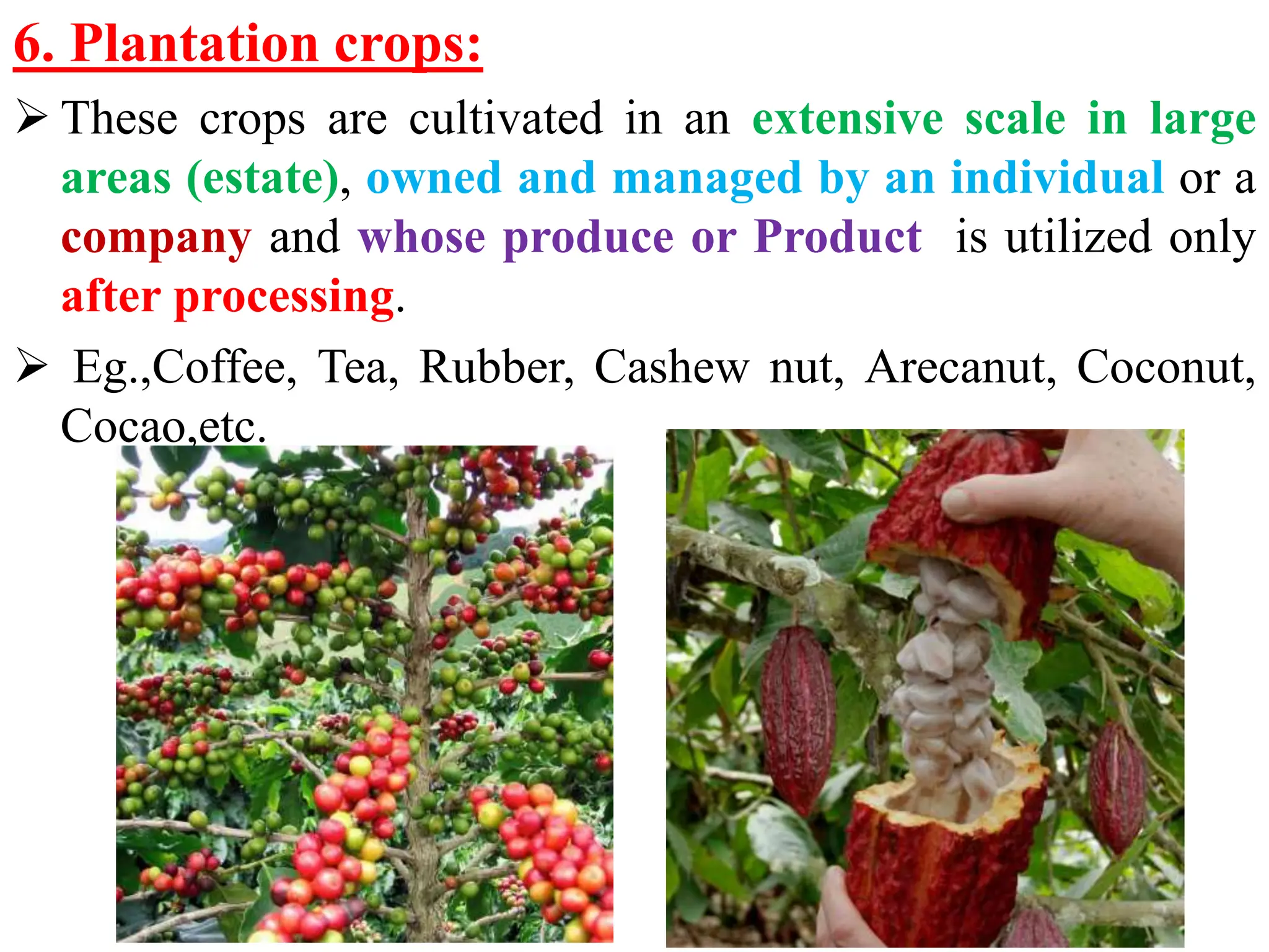Definition and branches of Horticulture.pptx