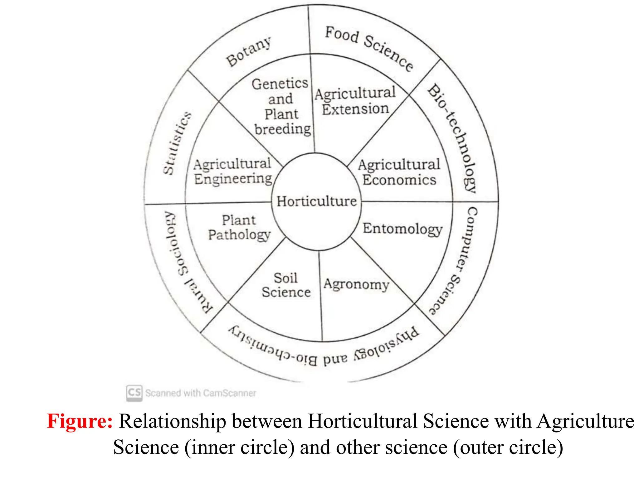 Definition and branches of Horticulture.pptx