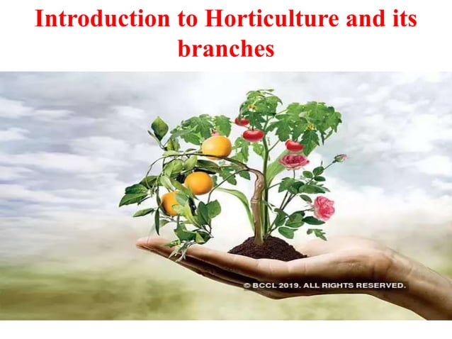 Definition and branches of Horticulture.pptx