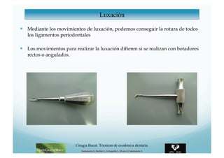 2.3_Tiempos_de_la_exodoncia_con_forceps_y_con_elevadores.pdf